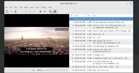 Tired Of Aegisub Explore These 8 Powerful Subtitle Editor Options