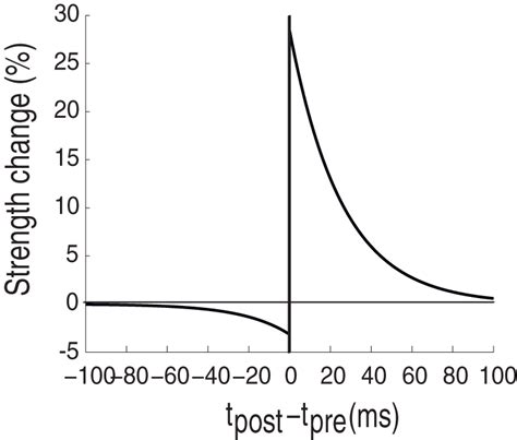 Basic Stdp Rule It Has Been Found Experimentally That The Strength Of
