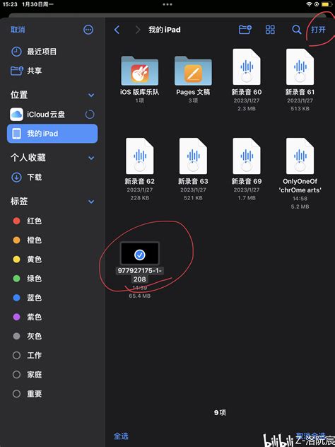 如何将网页版b站视频提取音频并下载到文件iphone 哔哩哔哩