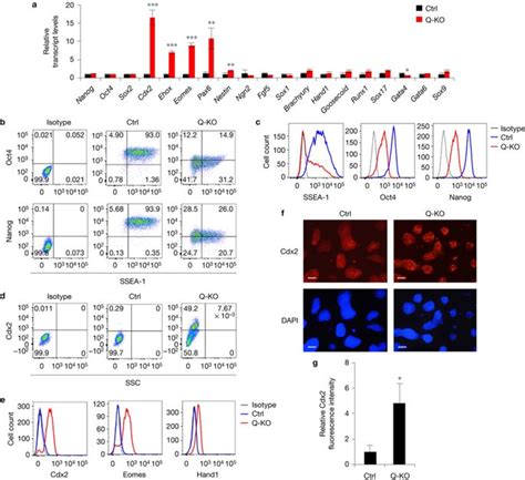 Mach3 Serial Port Plugin Download Armorfaher