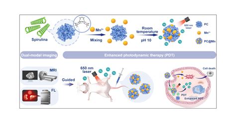 Manganese Based Natural Photosensitive Protein Nanocomplex For Image Guided Multimodal