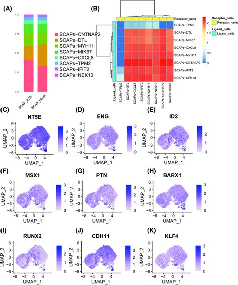 Histogram Showing The Proportion Of Each Cluster Type In The Download Scientific Diagram