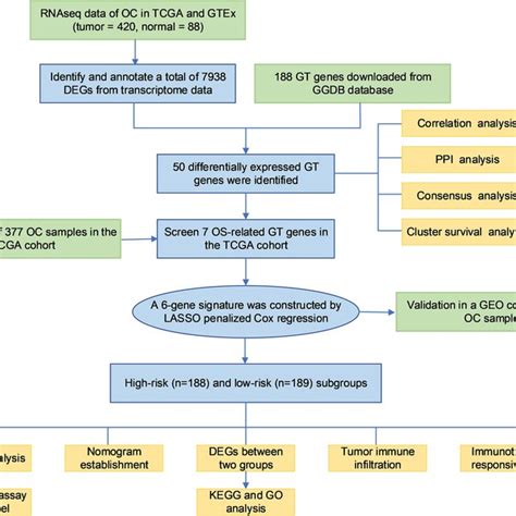 Workflow Diagram The Specific Workflow Graph Of Our Study Download