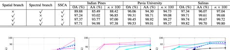 Table Viii From Spatial Spectral Transformer With Cross Attention For