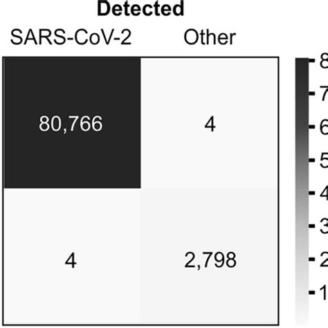 Specificity Of Primer Pairs Used In Screening Test Bioinformatic
