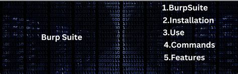 burp suite tool owasp10