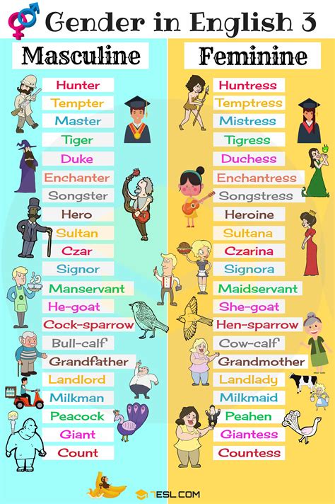 Gender Of Nouns Useful Masculine And Feminine List 7 E S L Gender Of Nouns Useful Masculine And Feminine List 7 E S L