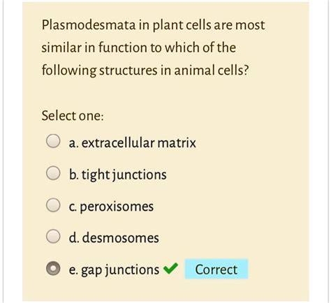 Solved Plasmodesmata In Plant Cells Are Most Similar In Function To Which Of The Following