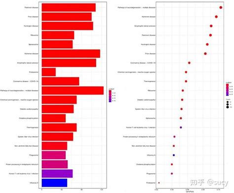 单细胞富集分析 知乎
