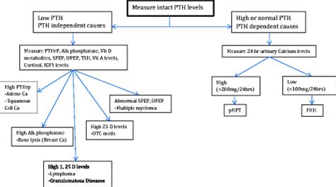 Diagnostic Approach To Hypercalcemia Phpt Primary Hyperparathyroidism Download Scientific