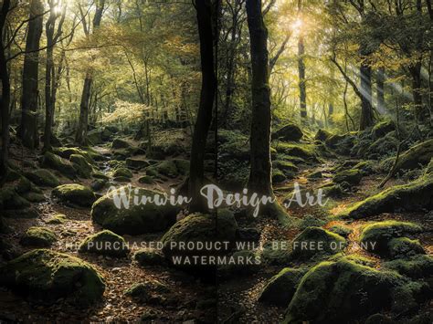 Forest Background Scene Portrait Overlay Photoshop Composite