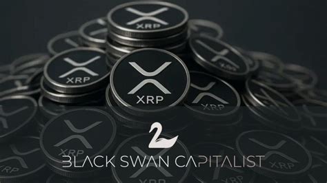 Black Swan Capitalist Founder Xrp Could Restructure Trillions In