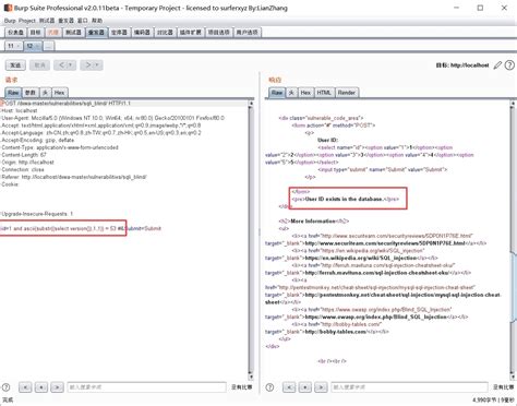 DVWA 通关指南SQL Injection Blind SQL 盲注 乌漆WhiteMoon 博客园