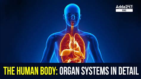Body Organ System