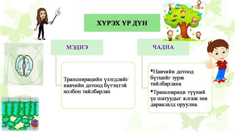 Мэдлээ Цахим контент