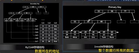 数据库基本概念：数据库的定义、特点、分类、组成、作用 csdn博客