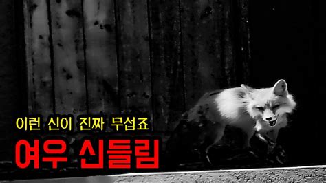 [2ch] 여우신이 몸에 들어오면 ㅣ 무서운이야기 ㅣ 공포학과 Youtube