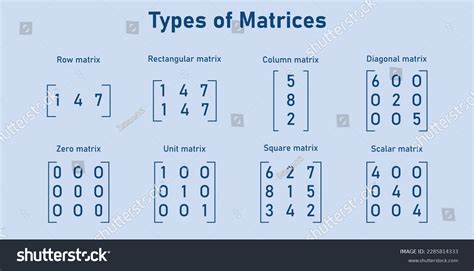 different types matrices mathematics row rectangular stock vector