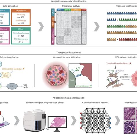 molecular classification of hormone receptor positive her2 negative