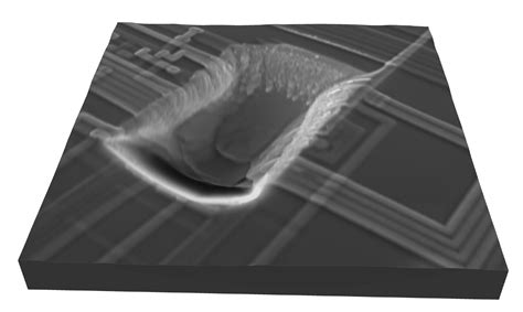 Semtopography Data 004 Jkraft Microscopy