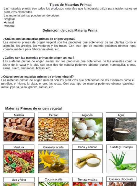 Recursos Minerales Vegetales Y Animales Pdf