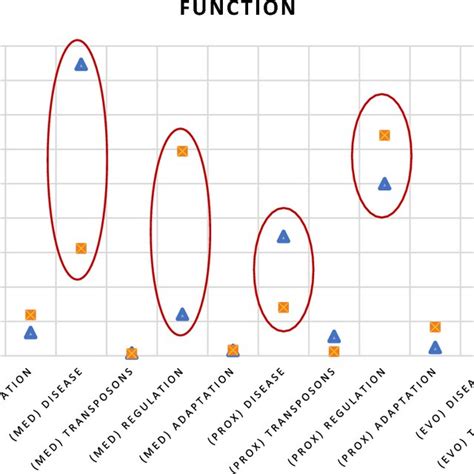 Original Versus Replicated Functional Interpretations Relative Download Scientific Diagram