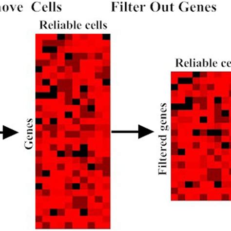 single cell data preprocessing steps overview of the workflow for the
