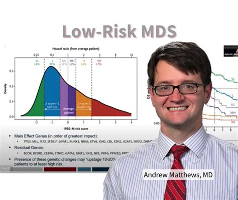Aplastic Anemia And Mds International Foundation On Linkedin Mds