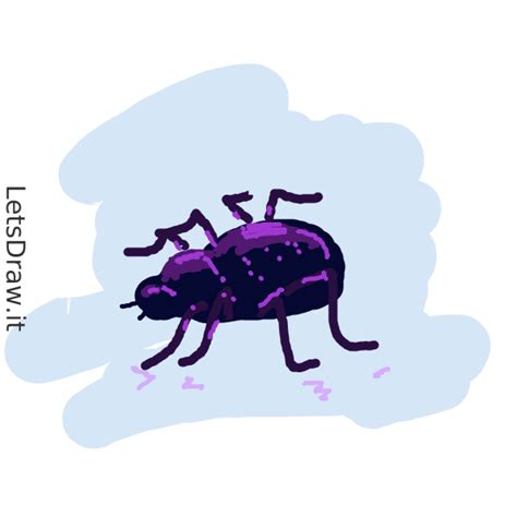 How To Draw Tarantula Atuzkhwdq Png LetsDrawIt