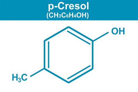 108 Cresols Chemistry Royalty Free Photos And Stock Images Shutterstock