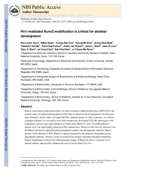 Pdf Pin1 Mediated Runx2 Modification Is Critical For Skeletal Development