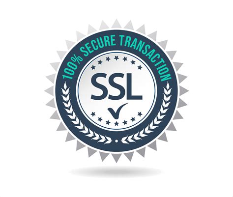 SSL Protection Secure Icon Vector Illustration Isolated On White Background Vector Art