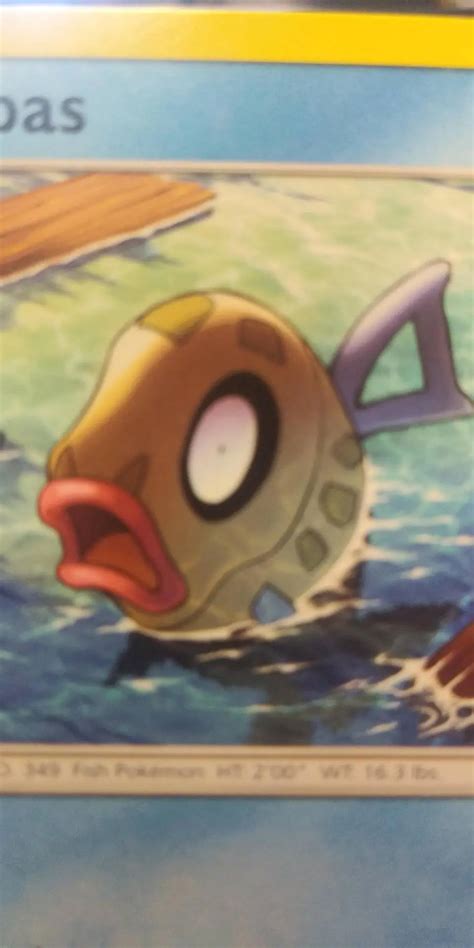 Why Is No One Using Surprised Feebas Scrolller