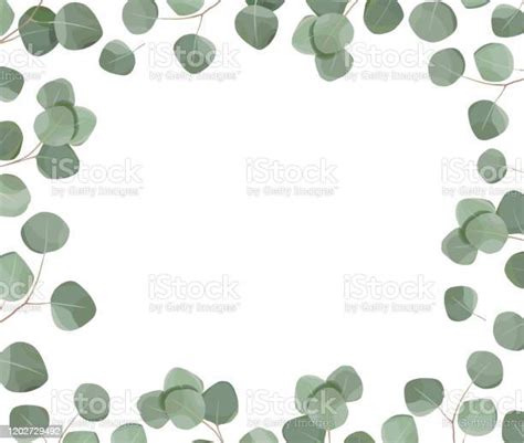 유칼립투스 잎과 흰색 배경에 고립 된 가지와 수채화 프레임 카드 결혼식 초대장 허브 날짜 또는 인사말 디자인을 저장합니다 0명에