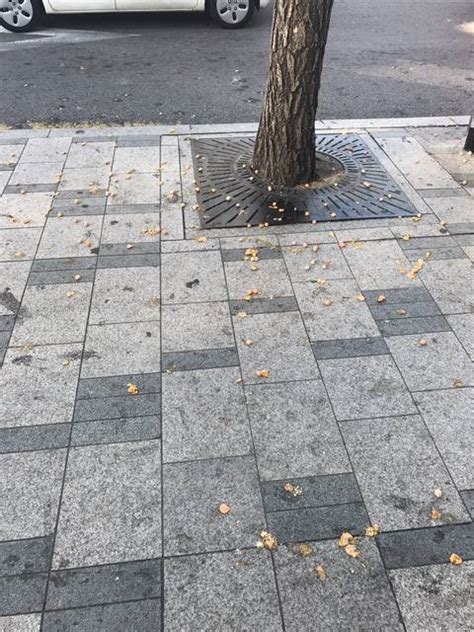 요즘 길거리에서 흔히 볼 수 있는거 인스티즈instiz 이슈 카테고리