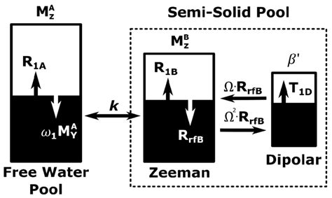 figure s 1 illustration of the two pool model with dipolar order