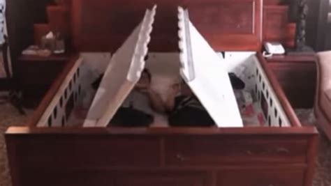 This Earthquake Proof Bed Automatically Swallows You Whole Maxim