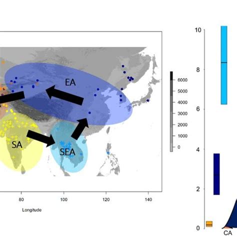 Demographic History Of The Four Inferred Genetic Groups A Proposed Download Scientific