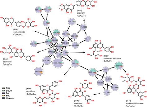 feature based molecular networking fbmn and network annotation