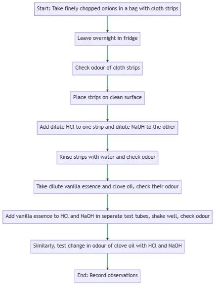 Activity 2 2 Class 10 Science Understanding Olfactory Indicators
