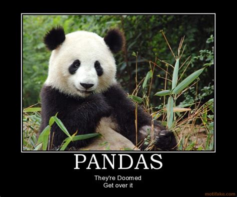 Panda Demotivational Posters Unmotivational Posters Demotivational