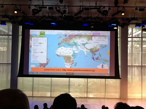 Real Time Deforestation Map