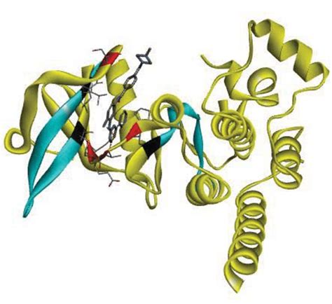 The Complex Of Imatinib And Tyrosine Protein Kinase Syk Pdb Id 1xbb Download Scientific