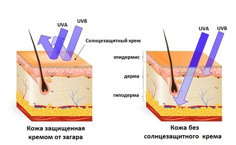 Крем от загара — как выбрать солнцезащитную косметику — ВокругСада.ру