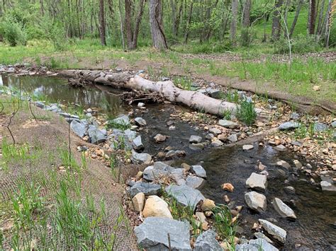 Stream Restoration Frequently Asked Questions Faqs Public Works And Environmental Services