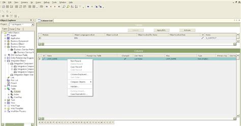 Crm Knowledge Base Case Insensitivity And Accent Insensitivity