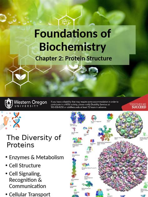 Chapter 2 Slides Pdf