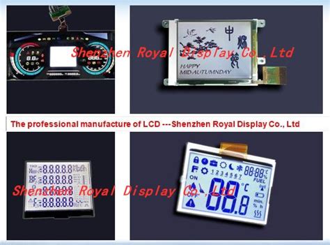 16X4 FSTN Stn COB LCD Display Module China LCD Screen Module LCD And Character Module LCD Price