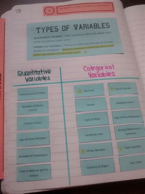 [コンプリート！] categorical variable vs quantitative 785299 categorical data