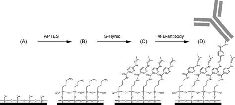 Representative Example For Surface Functionalization A Silicon